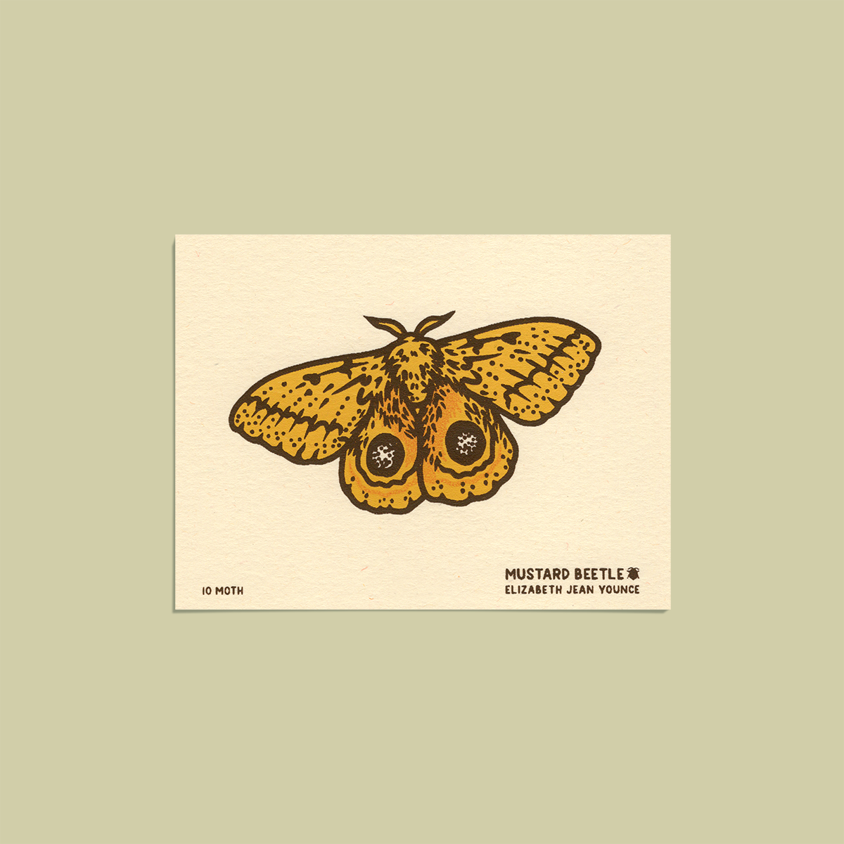 3x4" Mini Screenprint: IO Moth