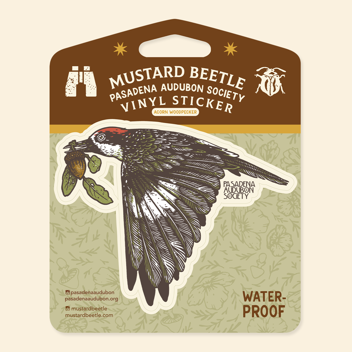 Pasadena Audubon Sticker: Acorn Woodpecker